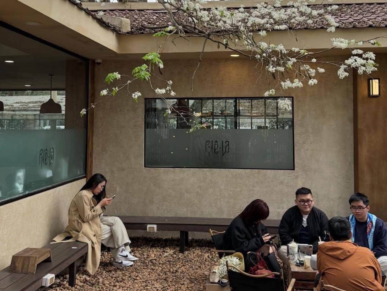 Spill the tea là gì - Khám Phá Ý Nghĩa và Nguồn Gốc Của Câu Nói Này